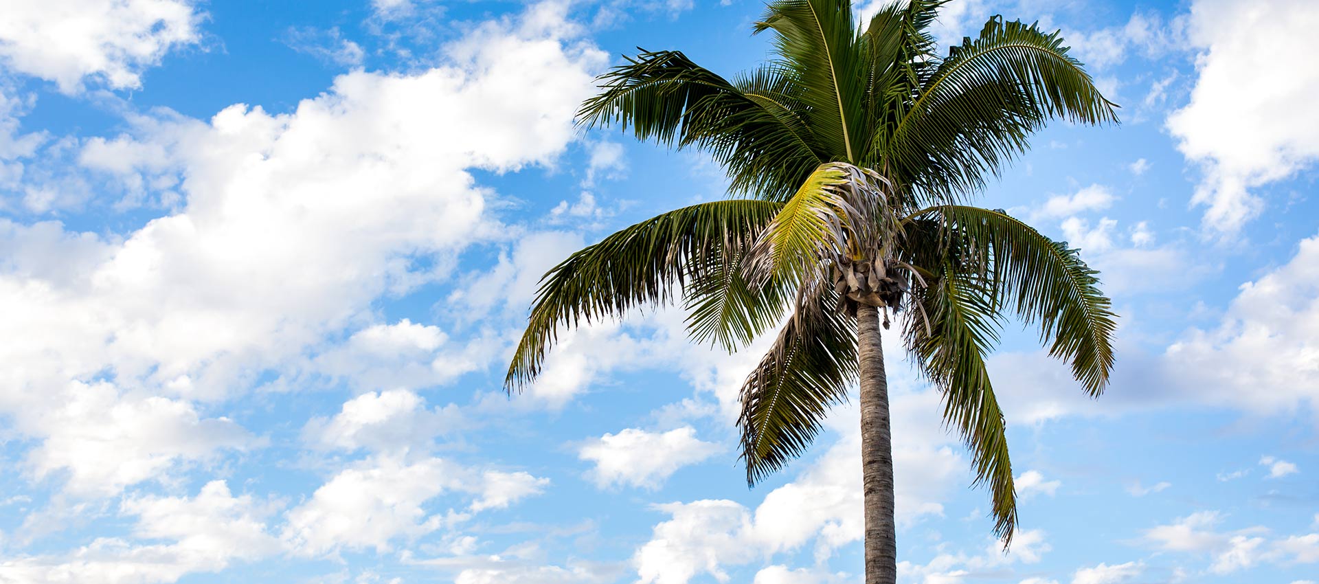 Contact - Broome Explorer Bus